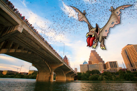 Bat Appreciation Day and the Austin Bats | KingsIsle Blog